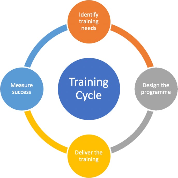 Rio Blog - Empowering Change: Principles for Effective Sustainability ...